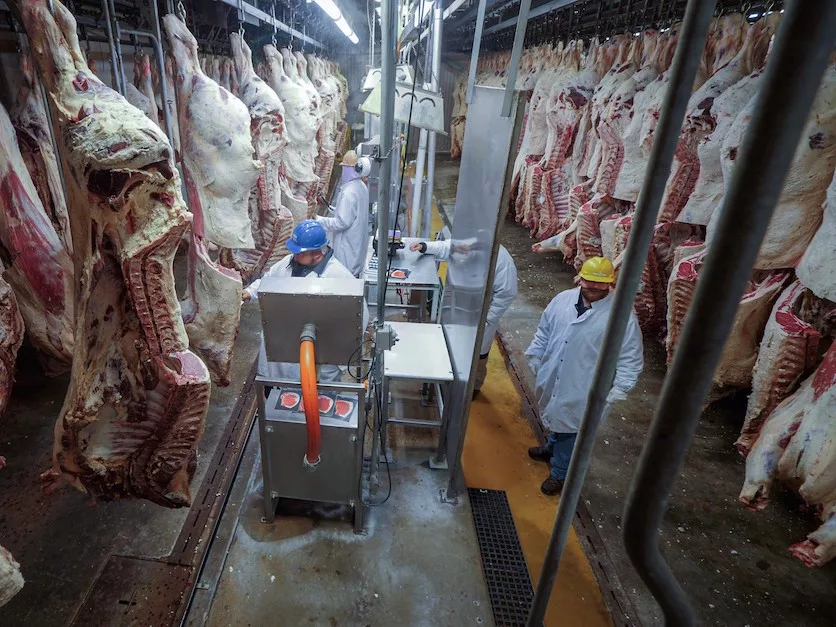 USDA announces $110 million for meatpacking expansion projects | Agri ...