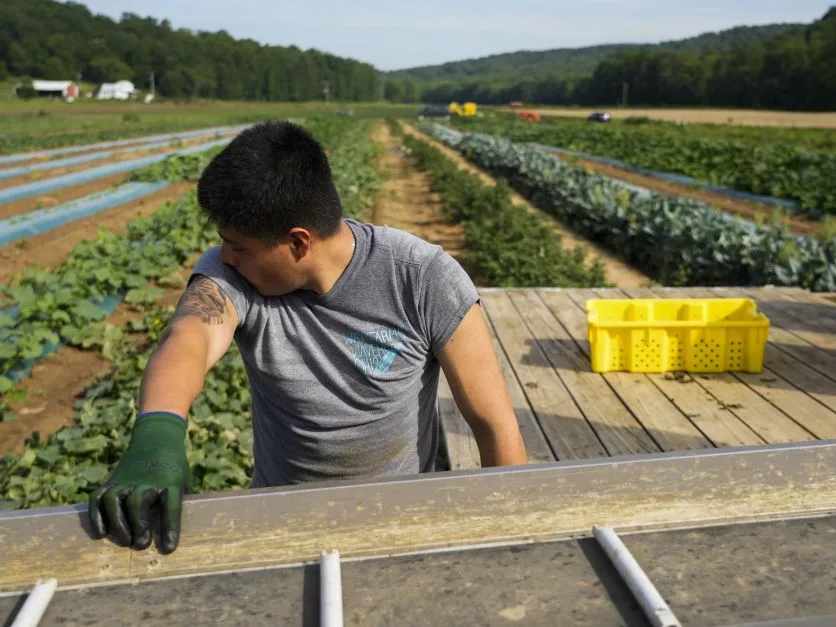 Farmworker, farm groups at odds over new wage methodology | Agri-Pulse ...