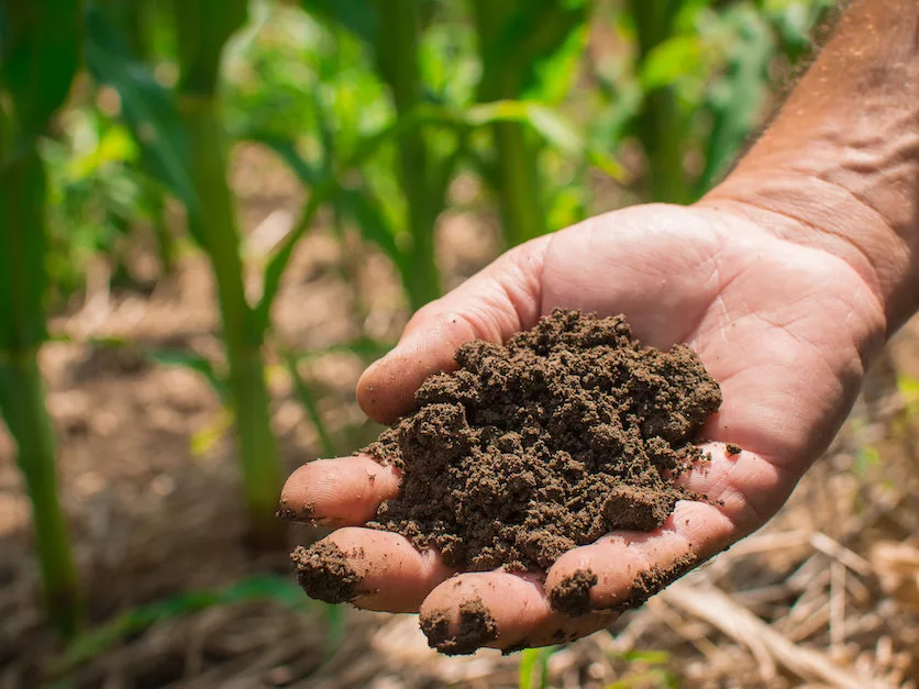 Report: Conservation Stewardship Program acreage rose in 2023 | Agri ...