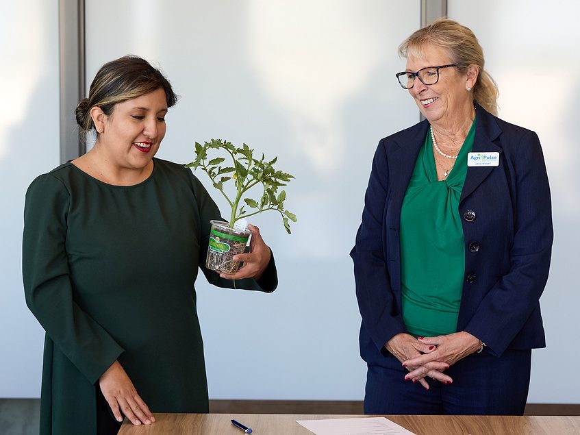 Daybreak West April 7: Agri-Pulse Tomato Challenge kicks off today ...