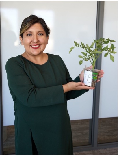 Agri-Pulse announces ‘Great Tomato Challenge’ winners | Agri-Pulse ...