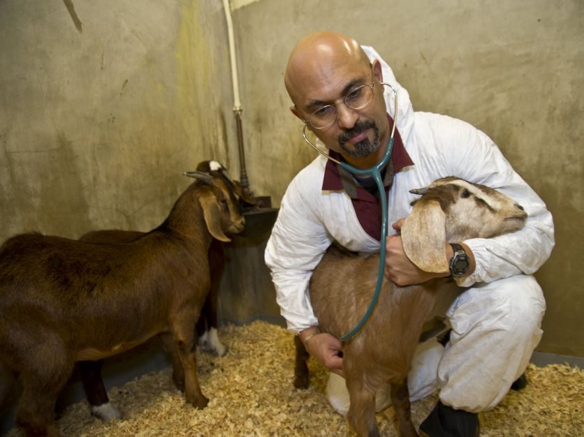USDA rural vet plan receives plaudits, suggestions | Agri-Pulse ...