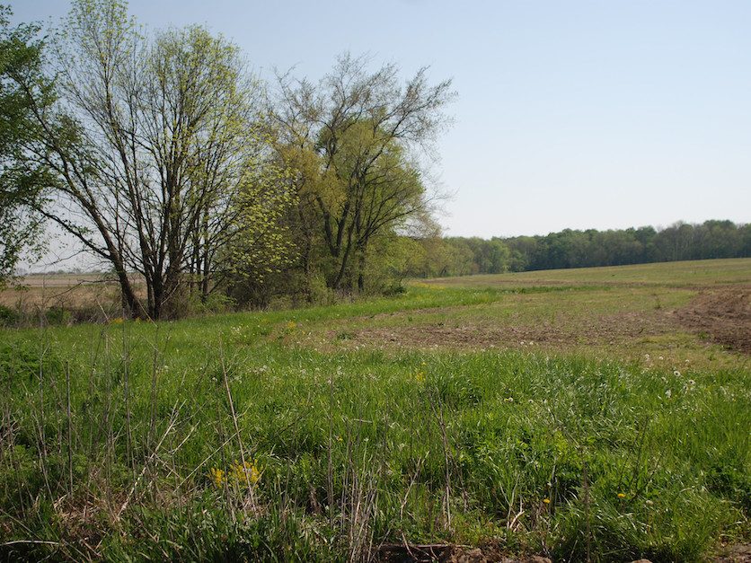 USDA announces continuous, general CRP enrollment dates | Agri-Pulse ...