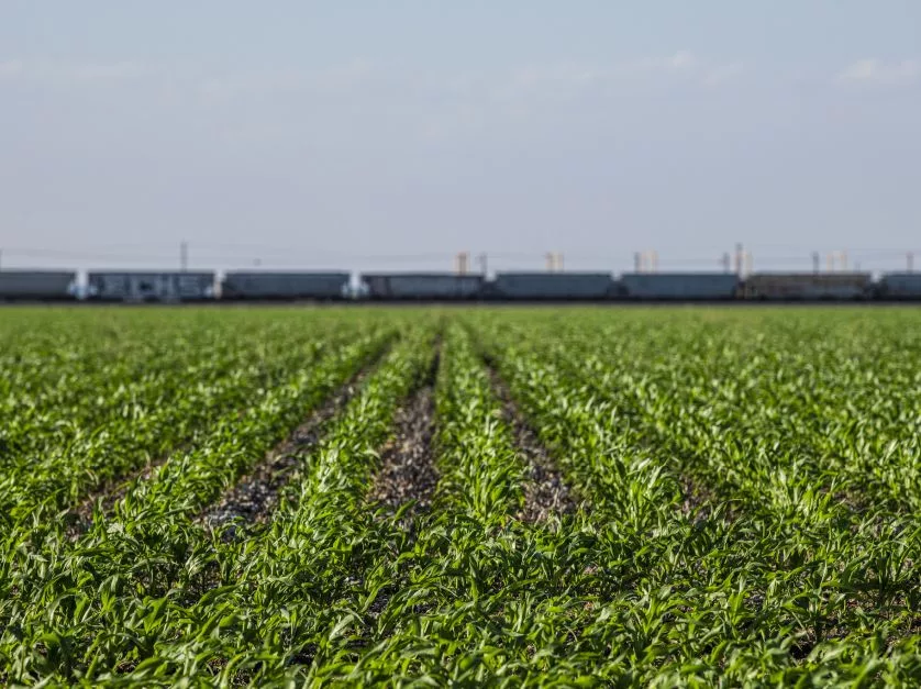 Daybreak Feb. 18: Groups accuse refiners of taking E15 hostage; Bayer ...
