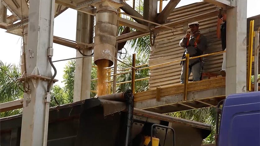 From Farm to Market: Moving Brazil's Soybeans | Agri-Pulse ...