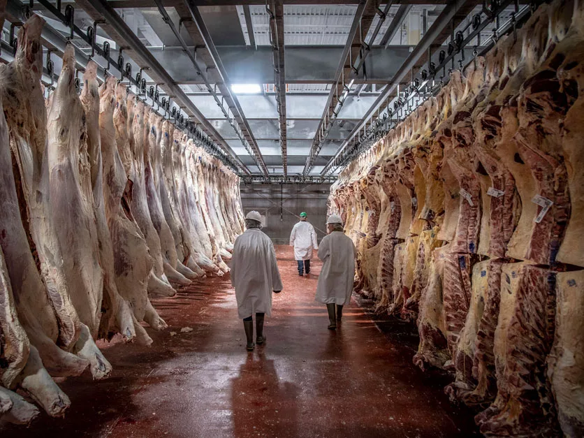 USDA hears how it should spend $500 million on meat sector capacity ...