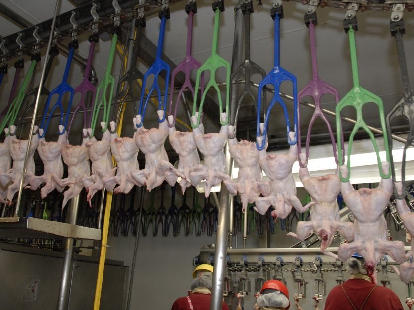 USDA proposes rules to allow faster pork, poultry processing line ...