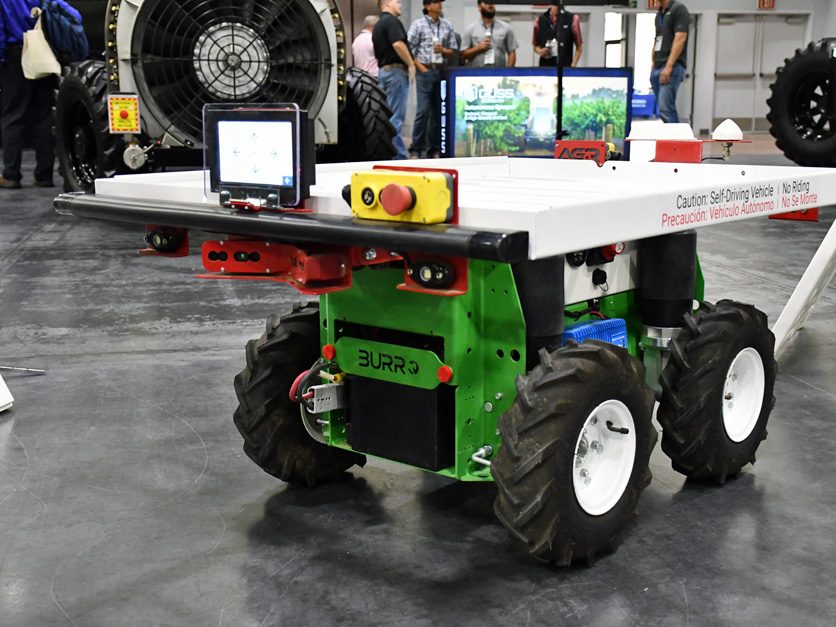 To meet soaring strawberry demand, farmers eye ChatGPT and other ...