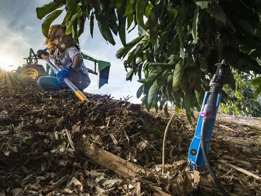 CDFA set to host regenerative agriculture listening session | Agri ...