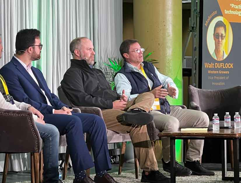 To meet soaring strawberry demand, farmers eye ChatGPT and other ...