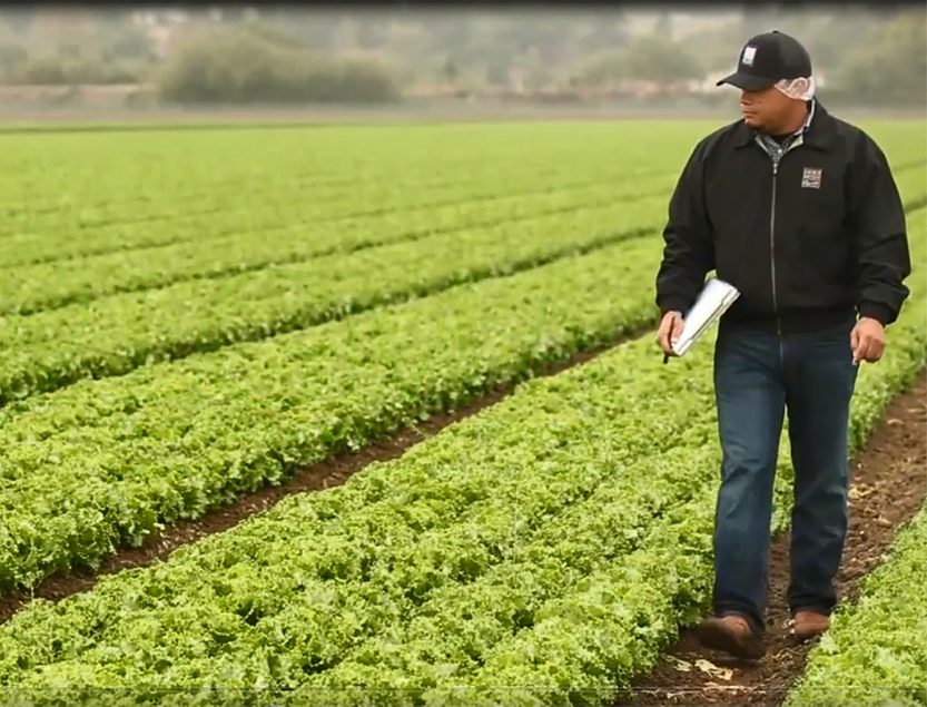 FDA release final FSMA food traceability rule | Agri-Pulse ...