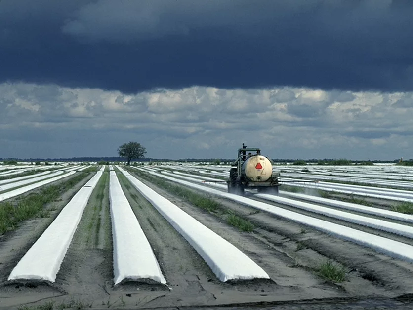 Daybreak May 21: US ag bracing for MAHA report | Agri-Pulse ...
