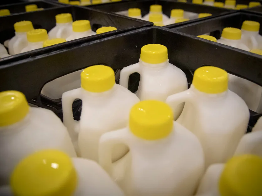 FDA recommends listing nutritional differences of plant-based milk ...
