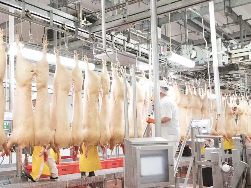 Judge backs pork plant inspection program | Agri-Pulse Communications, Inc.