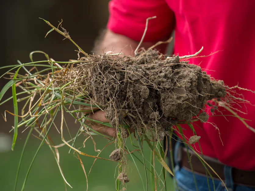 USDA to award $3M for soil science projects | Agri-Pulse Communications ...