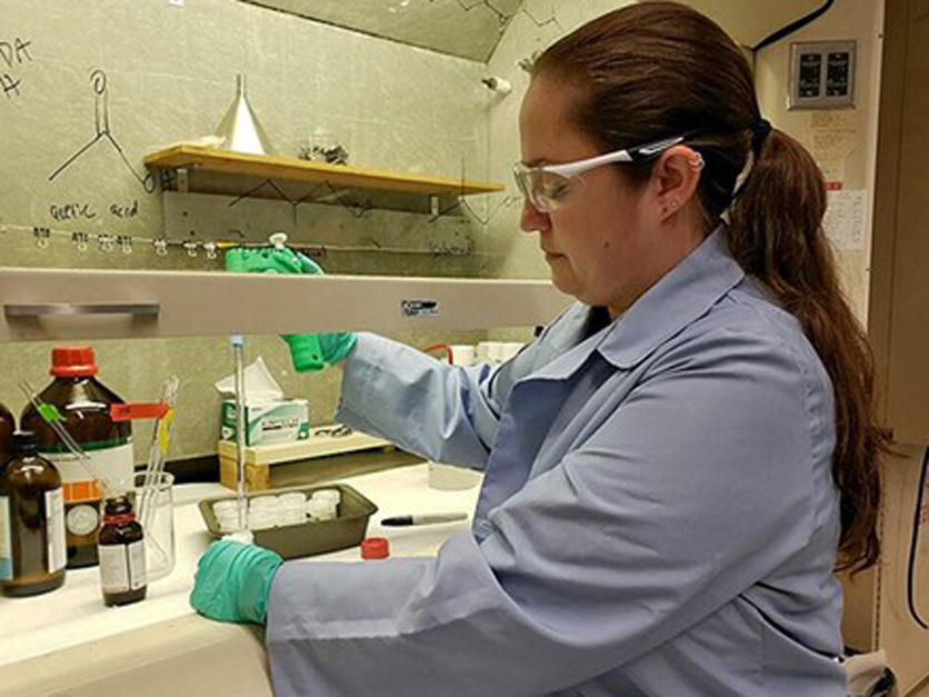 Researchers take aim at the “Murder Hornet’ | 2020-06-10 | Agri-Pulse ...
