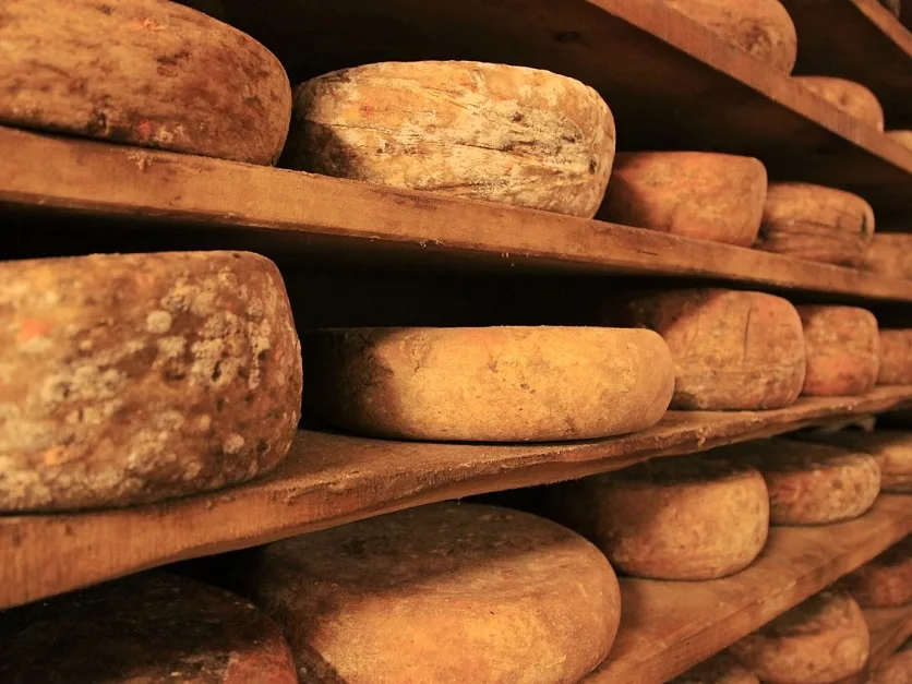 US dairy applauds another legal victory on cheese name | Agri-Pulse ...