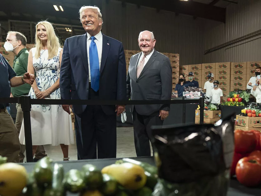 Perdue found to have violated Hatch Act at N.C. food box event | 2020 ...