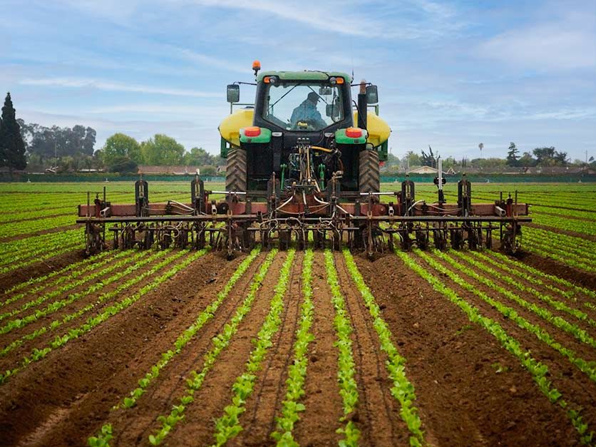 Canadians jump into ag equipment purchases for the new year | Agri ...