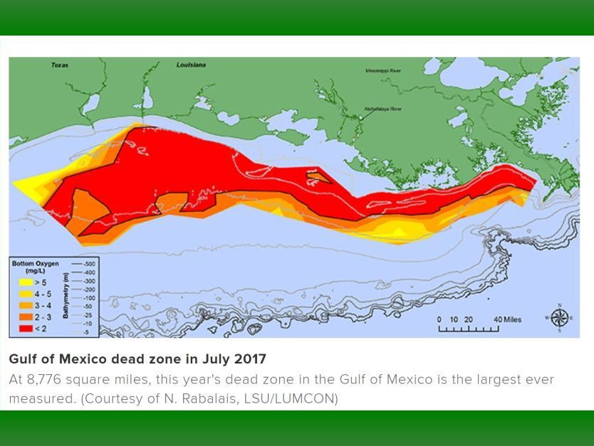 ‘Dead zone’ larger than ever, NOAA says | 2017-08-02 | Agri-Pulse ...