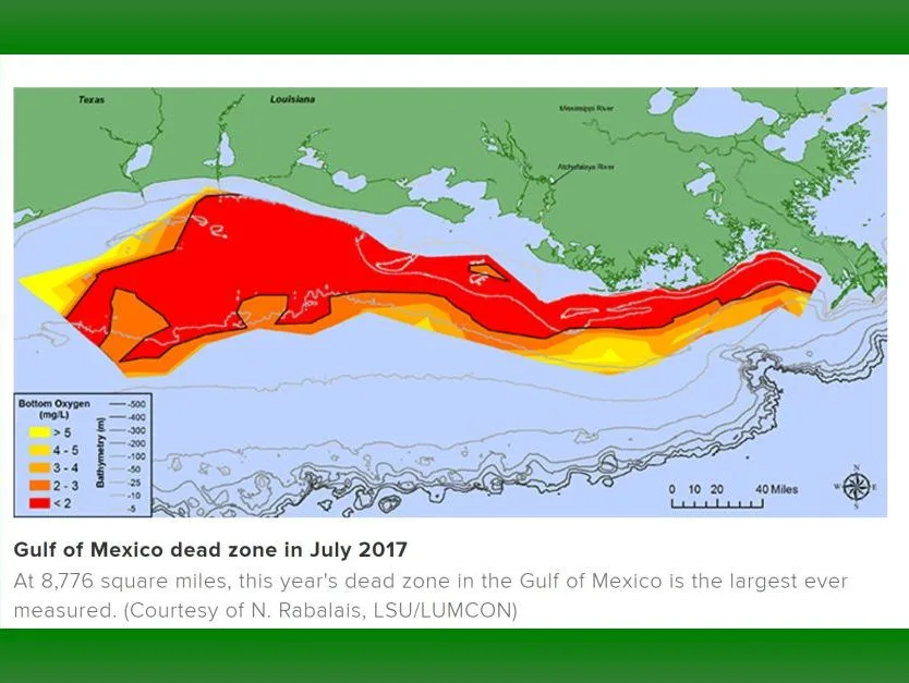 ‘Dead zone’ larger than ever, NOAA says | 2017-08-02 | Agri-Pulse ...