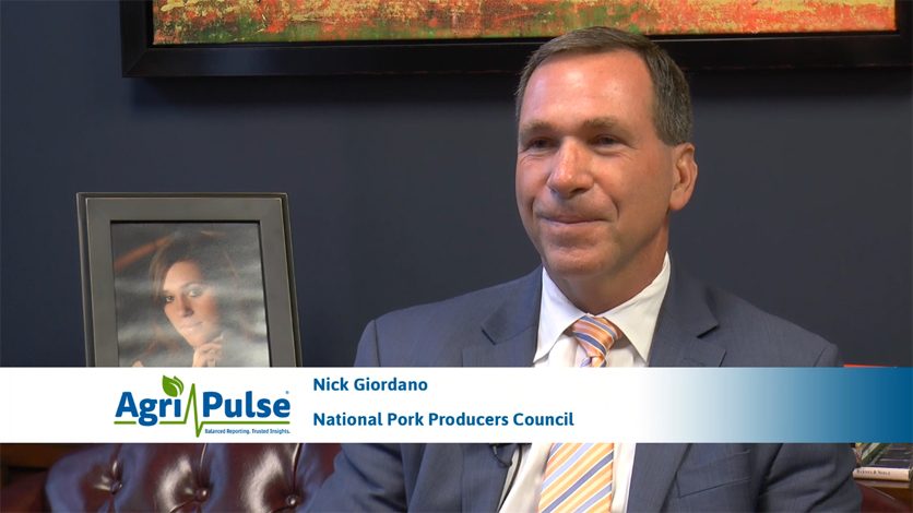 Meet the Farm Hands: Nick Giordano, NPPC | Agri-Pulse Communications, Inc.